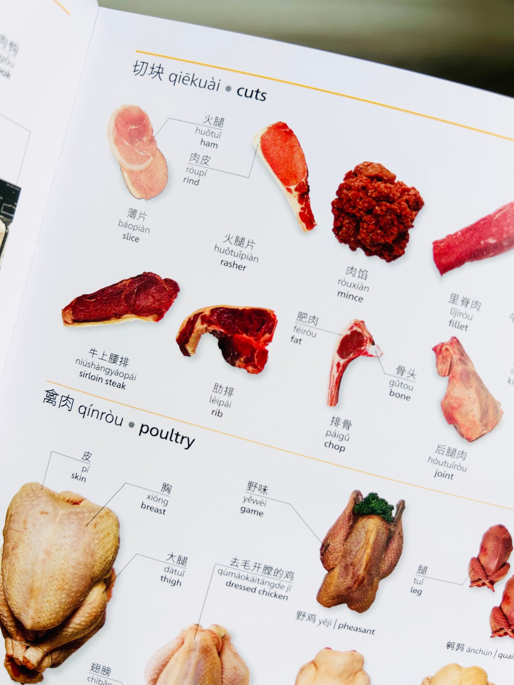 Mandarin Chinese-English Bilingual Visual Dictionary – My Story Treasury